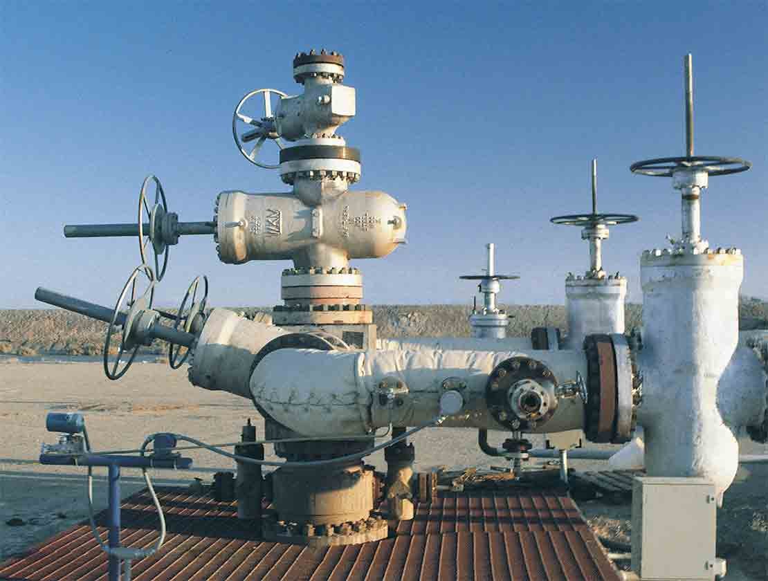 Wellhead, an Important Tool in Drilling - Minikraf